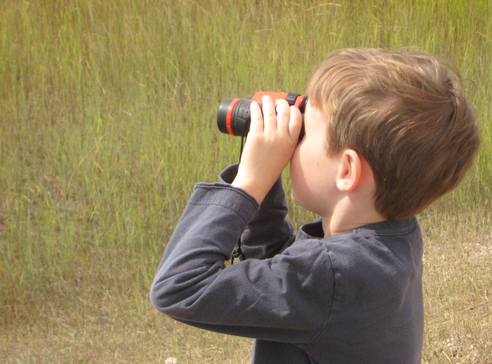 Make Your Way Through the ABCs - Home Literacy Blueprint